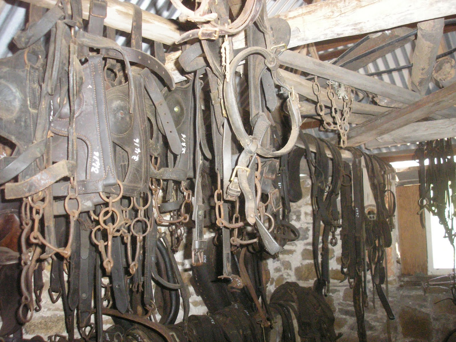 Whereiswitchwae?: Wellstead homestead near Bremer Bay