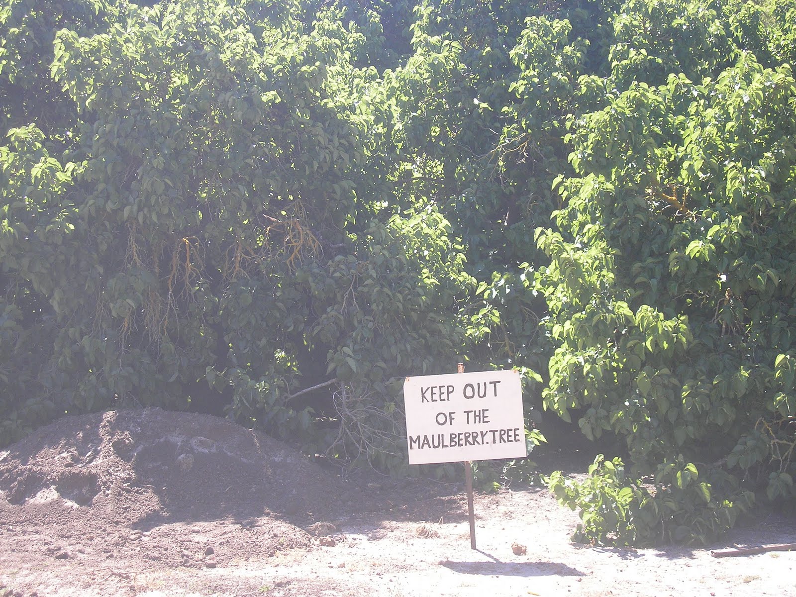 Whereiswitchwae?: Wellstead homestead near Bremer Bay