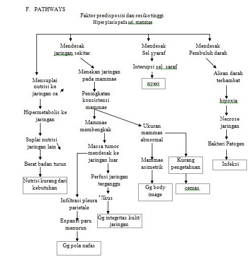 ASUHAN KEPERAWATAN KANKER PAYUDARA (CA MAMMAE)