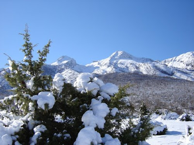 GJEOGRAFIA E REPUBLIKES SE SHQIPERISE: RAJONI JUGOR