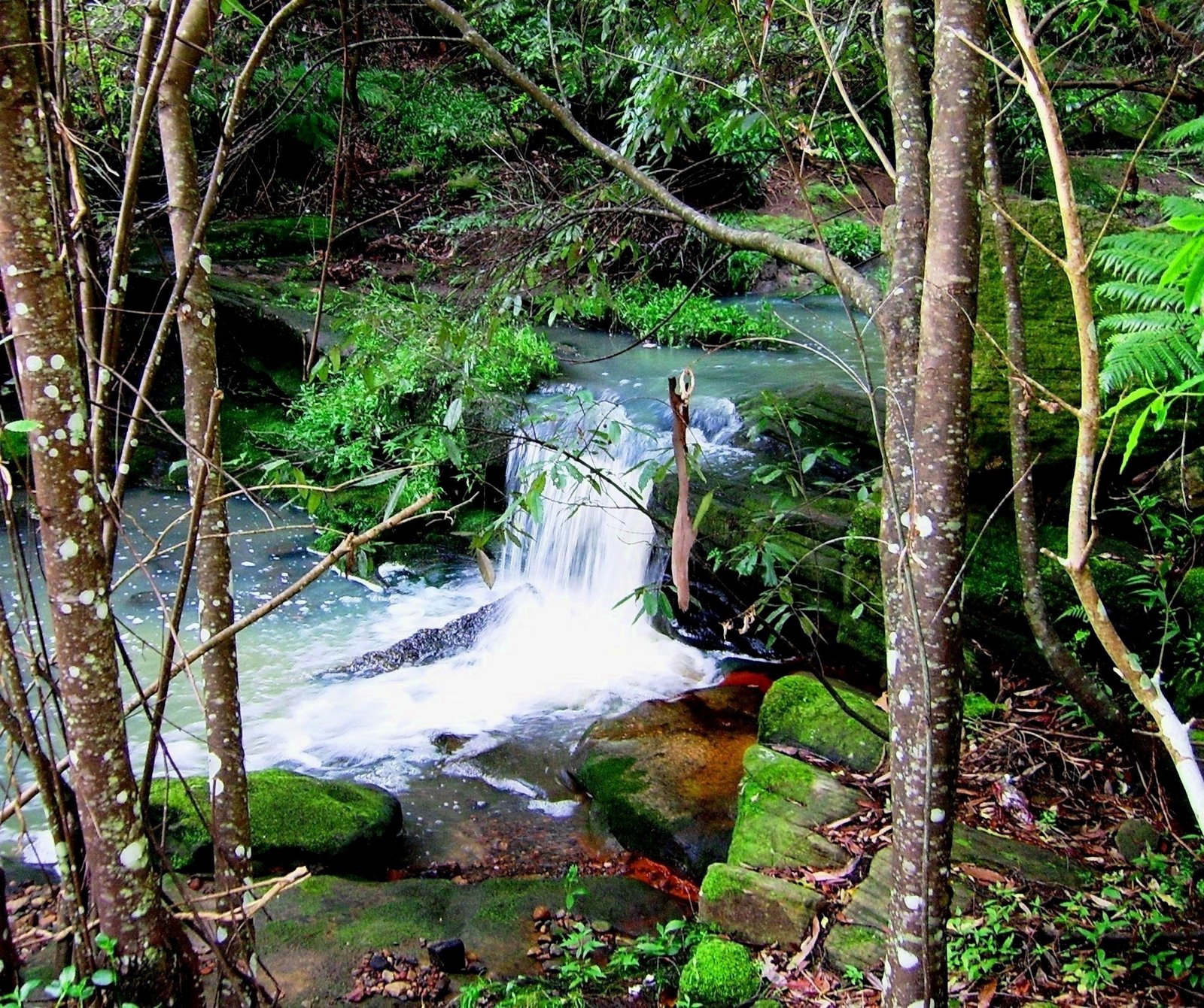 KJ - Kaye and Jose - Amazing Photos: Pretty creek with waterfall ...