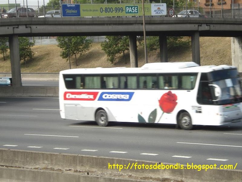 Fotos de Omnibus: CHEVALLIER METROPOLITANA - LÍNEA 194