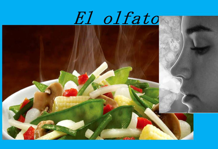 Curiosidades de cocina: El olfato y la cocina....