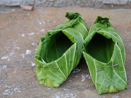 Baju dari daun.. | Story Dari Shelly