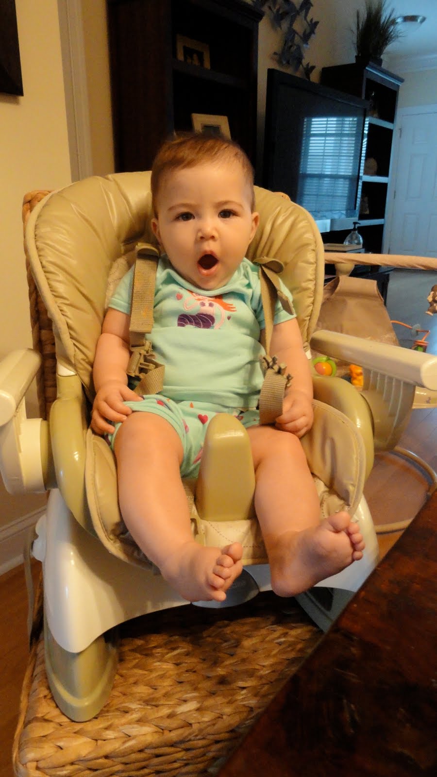 Lovely Little Lola I Have A 6 Month Old Baby lovely-little-lola-i-have-a-6-month-old-baby