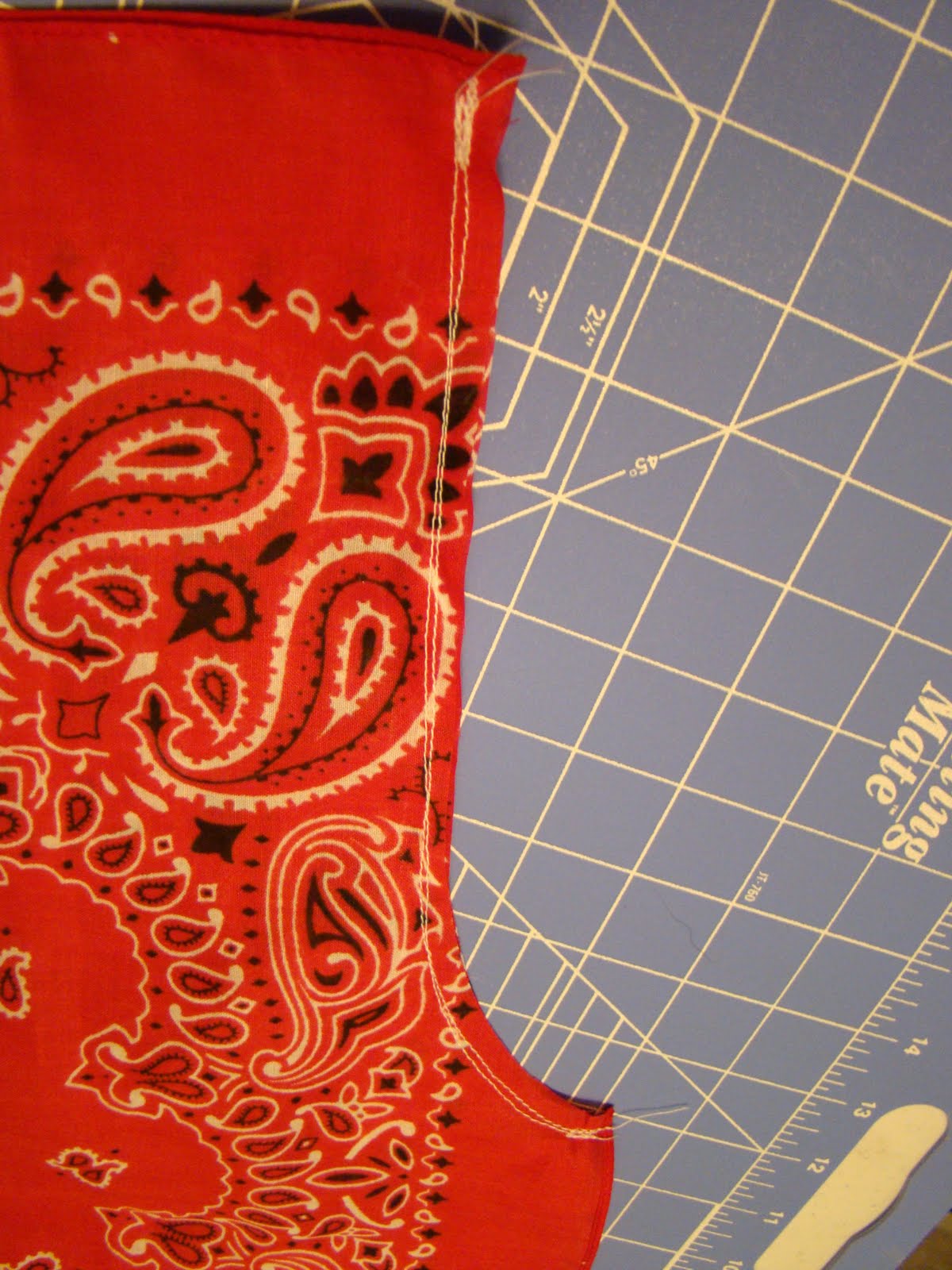 Jamie's Journal: Bandana shorts!