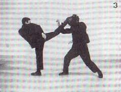 BRUCE LEE THE LEGEND: Lee's HOOK kick