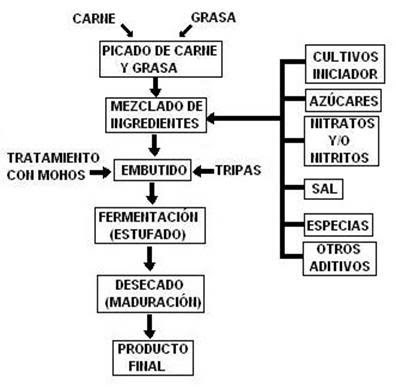 PRODUCTOS CÁRNICOS FERMENTADOS