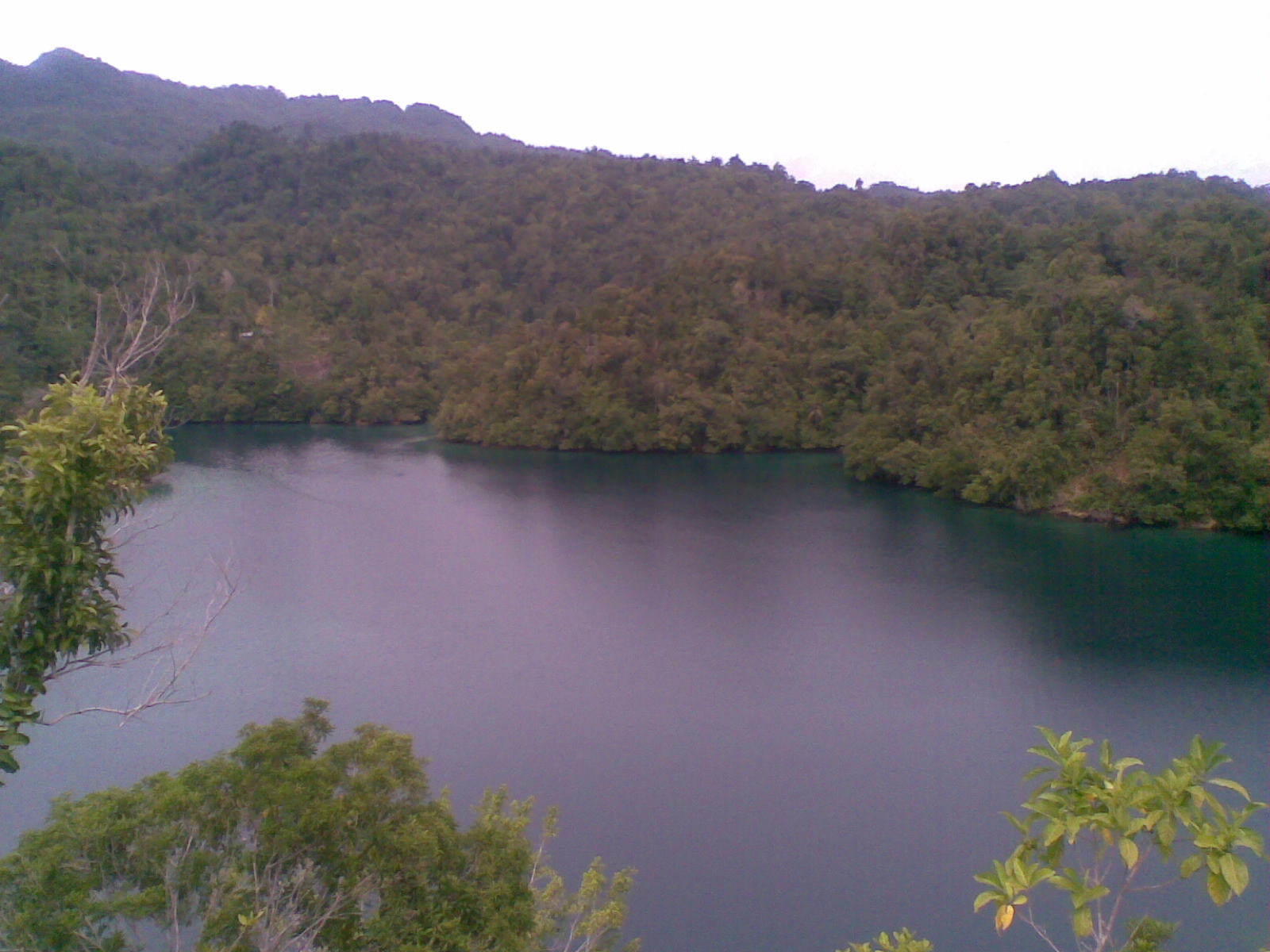 steven nag serui: serui, kota yang kecil dan cantik di papua
