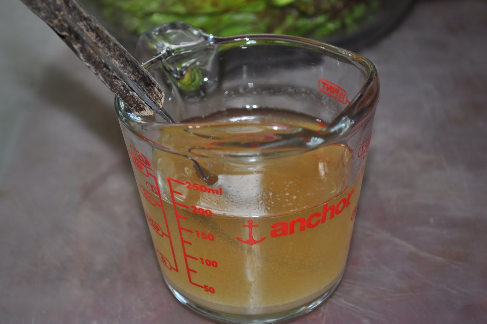 Michigan Cottage Cook: HOT DUTCH POTATO SALAD--WARME DUTCH AARDAPPEL ...