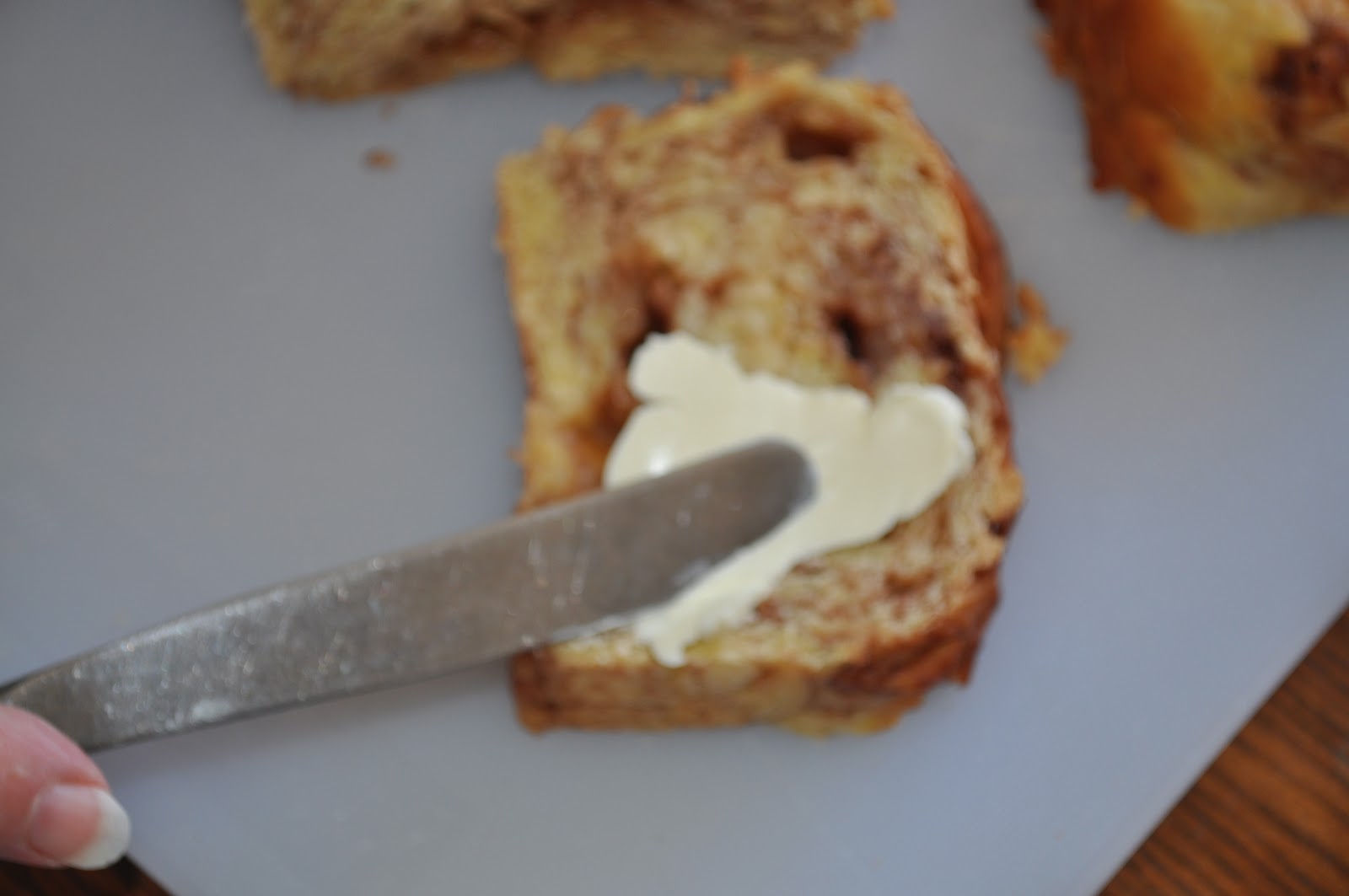 Michigan Cottage Cook: DUTCH SUGAR BREAD---FRISIAN SUIKERBROOD CHAPTER ONE