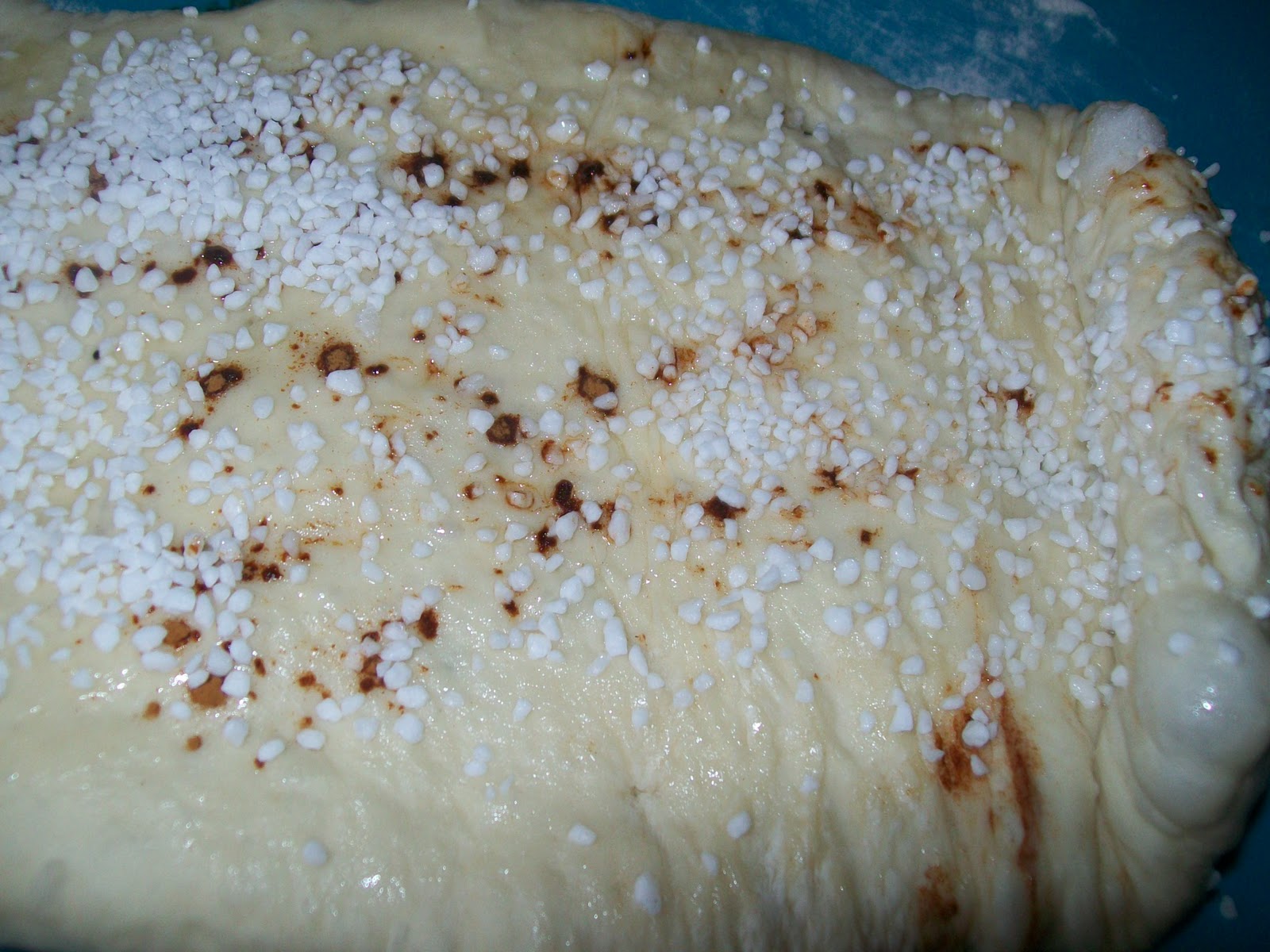 Michigan Cottage Cook: DUTCH SUGAR BREAD---FRISIAN SUIKERBROOD CHAPTER ONE