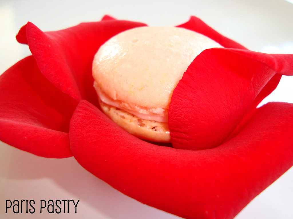 Rose Macarons
