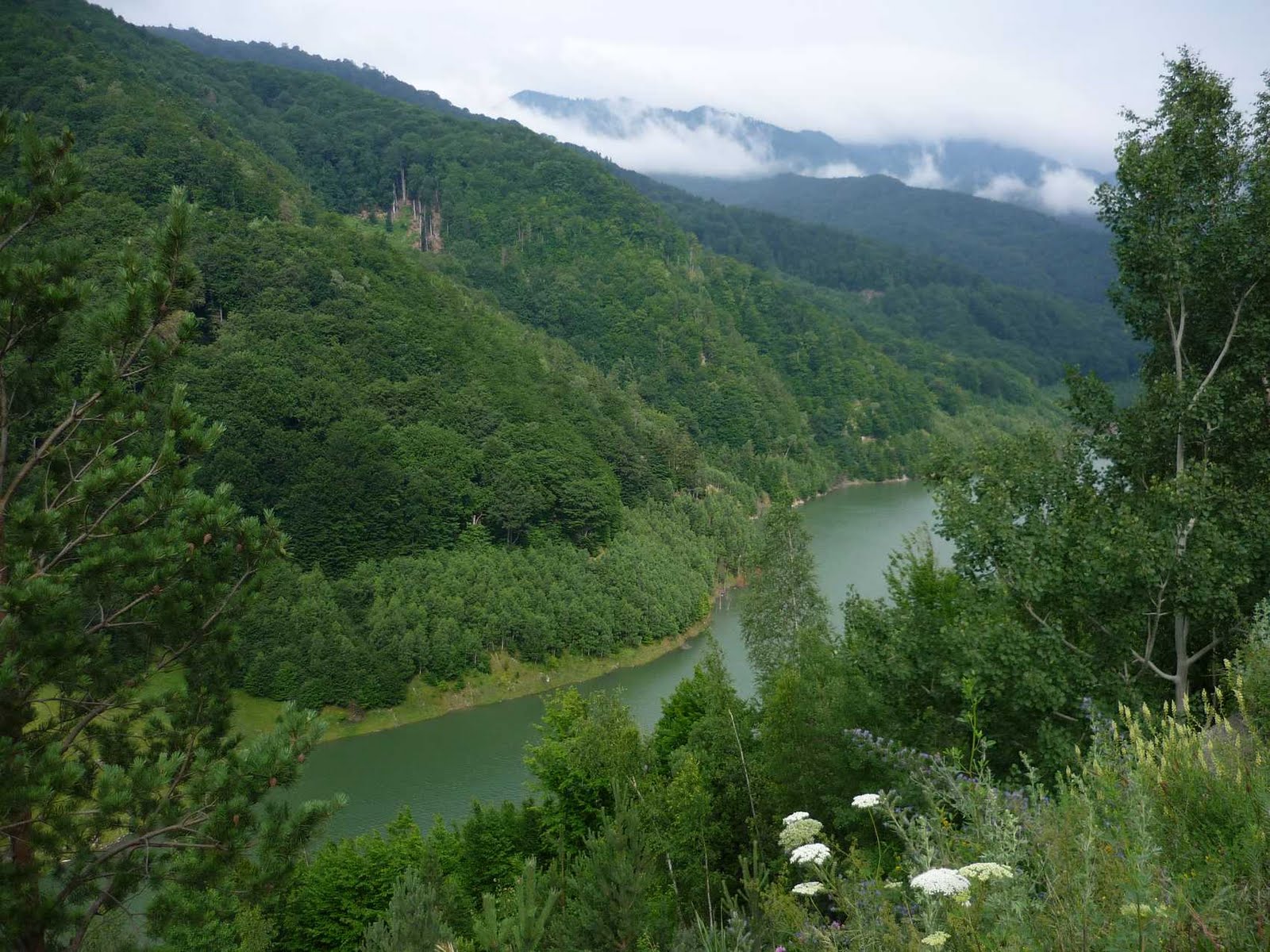 gregeuropetour: Les carpates