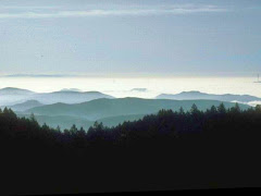 Melungeon Studies: Pictures of Mahala Mullins' Cabin