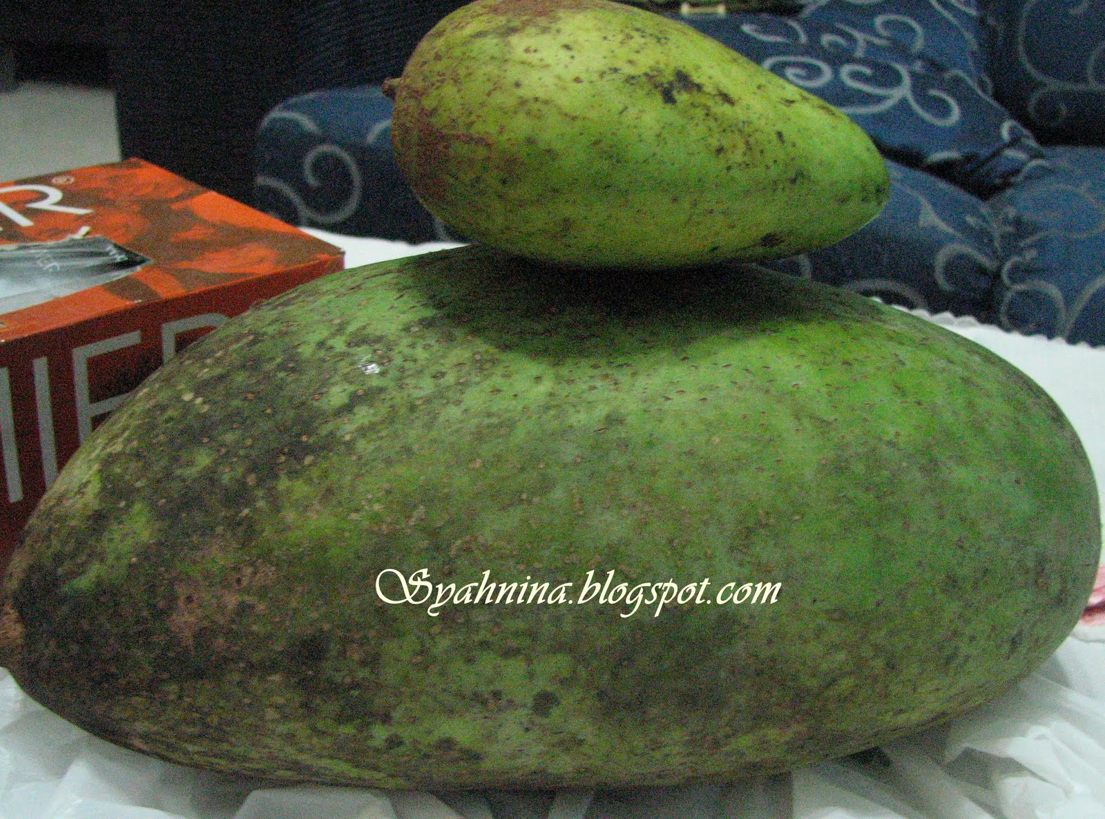 Suka duka kehidupan, Pahit dan Manis Kenangan: Mangga@Pelam@ Mempelam