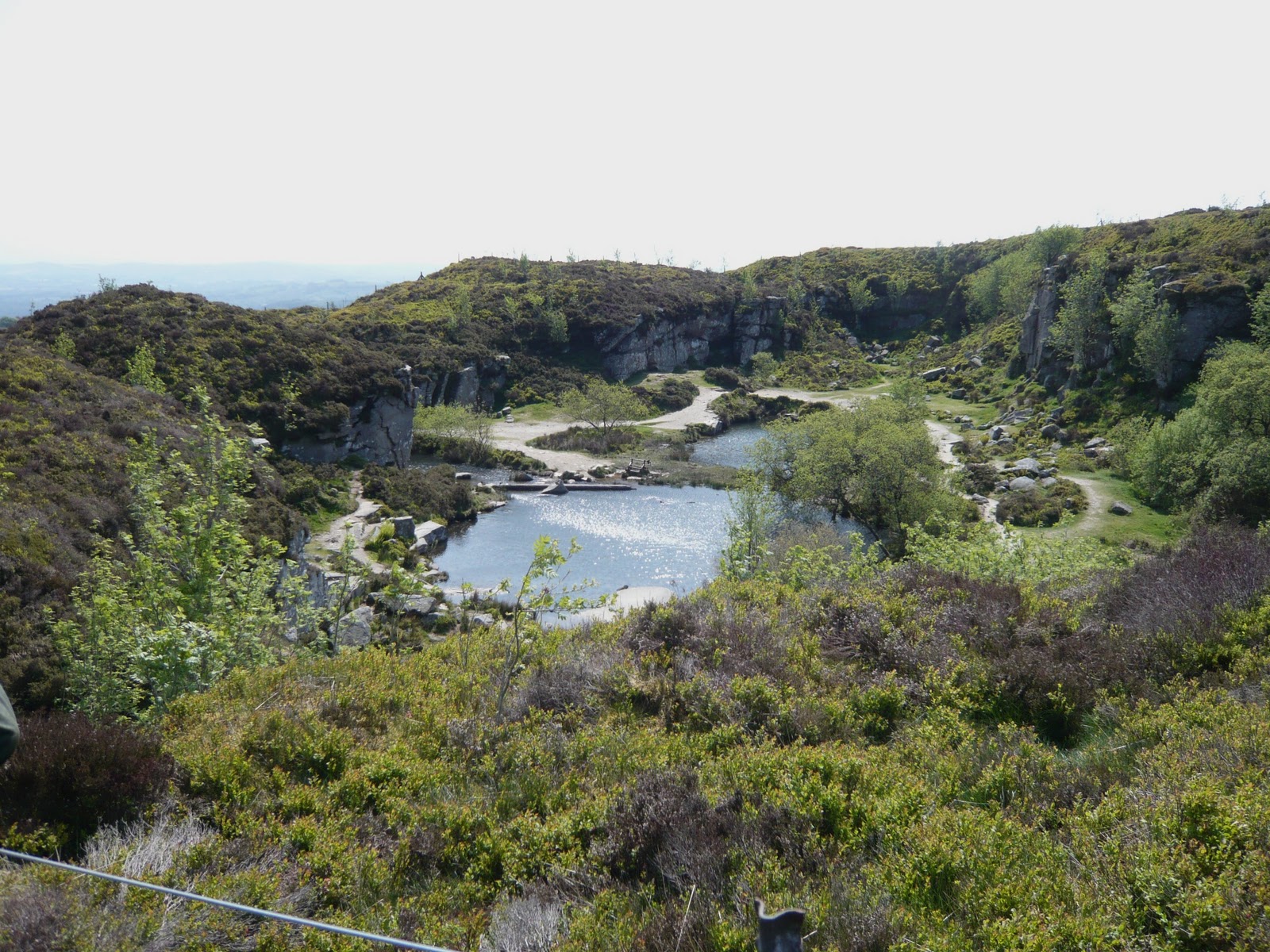 part-time Naturalist: Dartmoor Study Tour: Hay Tor and Hay Tor Quarry