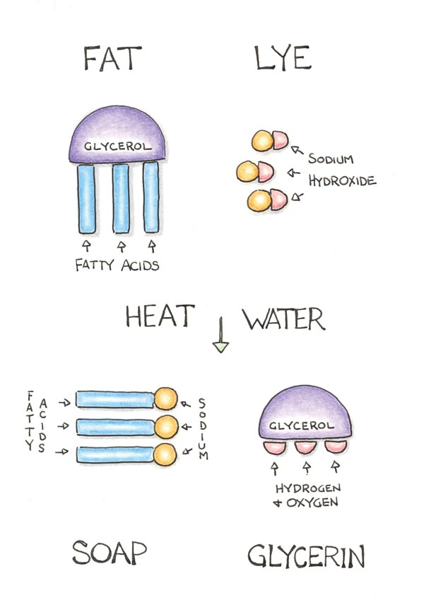 For Fellow Science Geeks