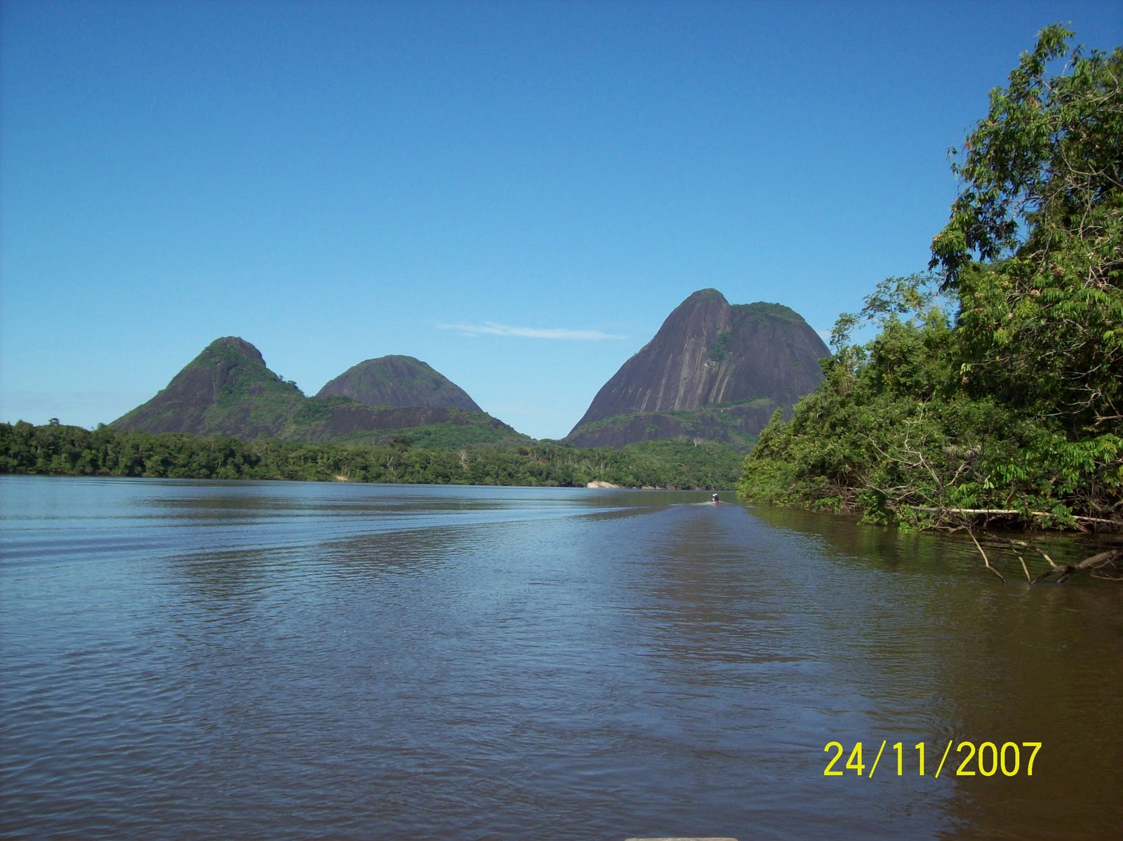 Algunas Fotos: Selva Colombiana. Lo más Exótico de mí país