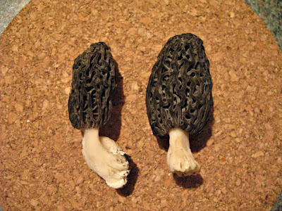 Pear of joy: Molly Mooching