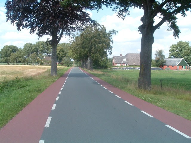 A view from the cycle path: Country road - no centre lines