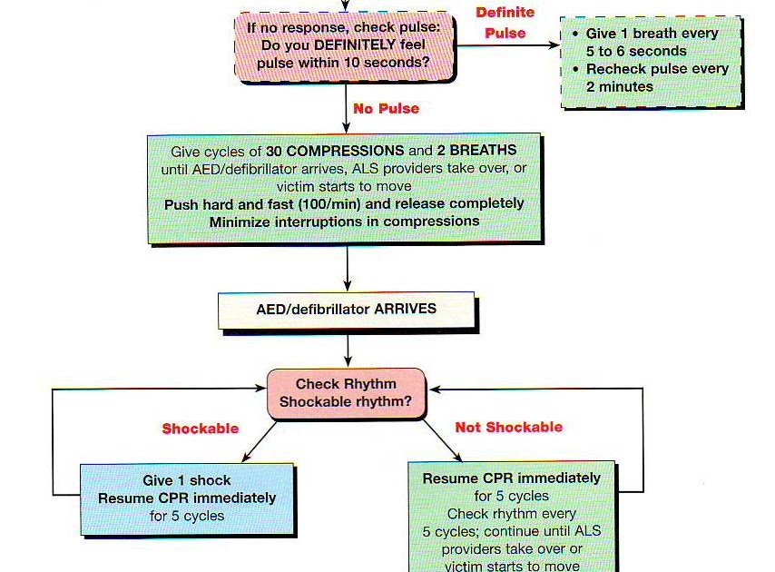 MY Health Fitness Portal: BLS Algorithm