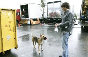 A Place For Pet Lovers: Supernatural Star Jared Padalecki's Rescue Dogs