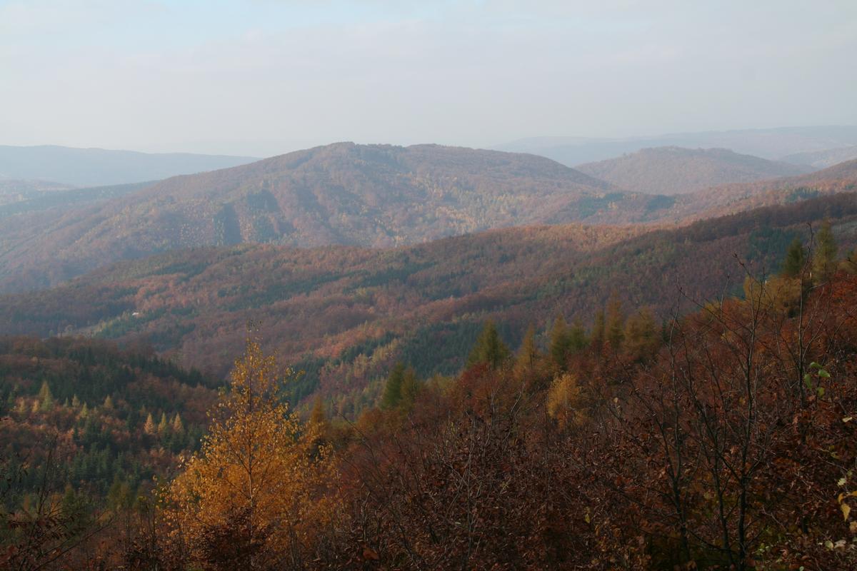 Zcestný blog: Poloniny 2009