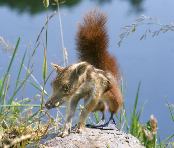 Mats ordenruntresa: Rötmånad - dags för konstigheter