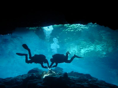 Scuba Diving Holidays: Scuba diving in Cozumel with Pro Dive Mexico.