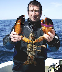 David Felder, Author