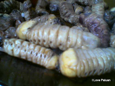 The Uok - I Love Paluan