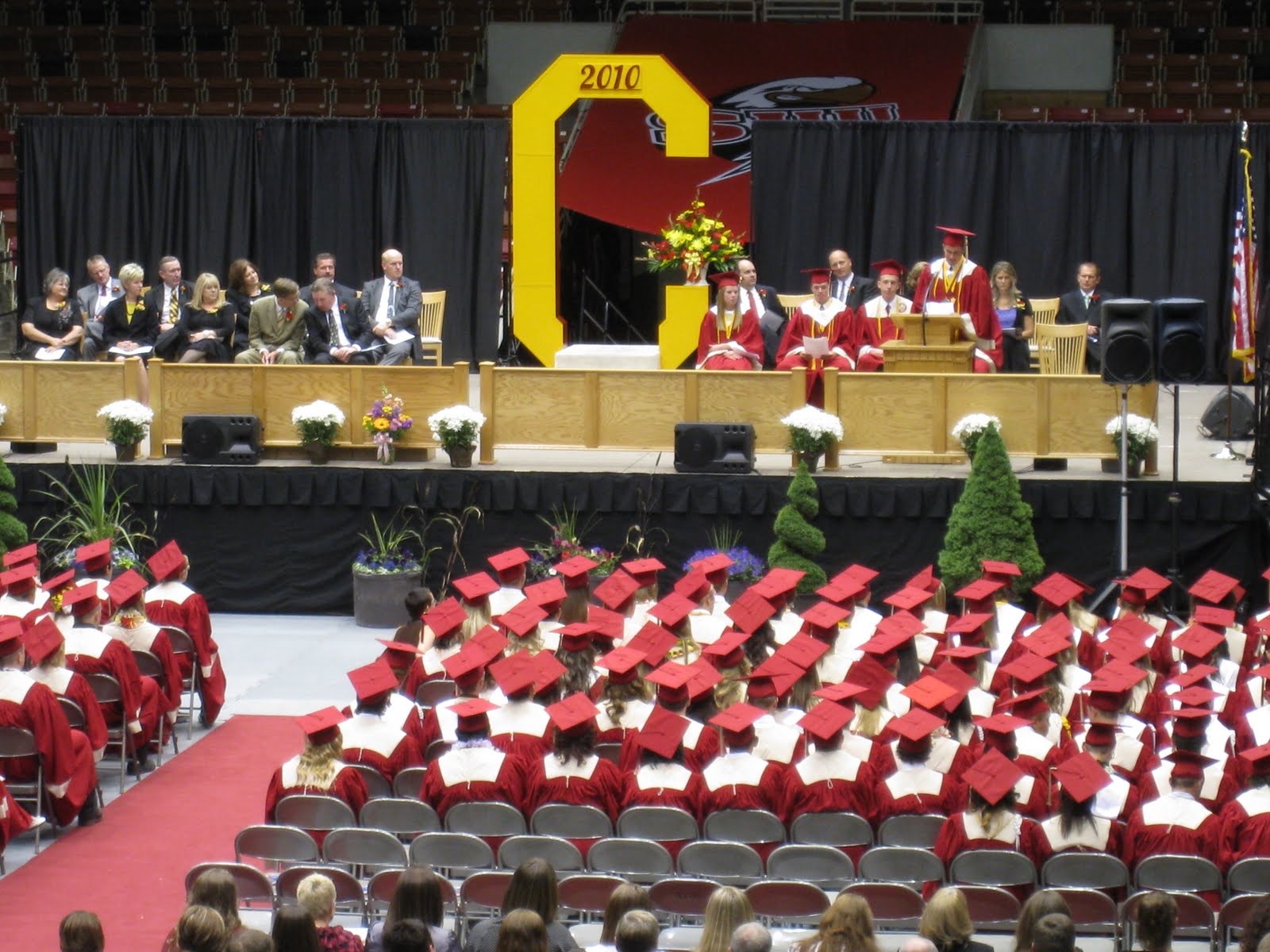 Welcome to the Woods