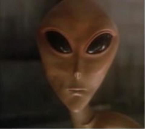 The Skull & Pumpkin: "Gummy Face, I love you,