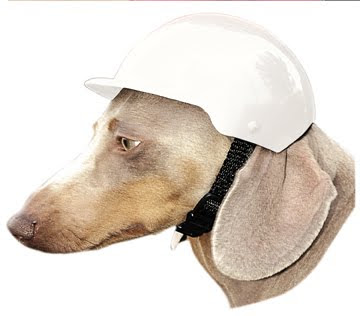 Feathers in the Nest: Crash Helmets for Ren--options