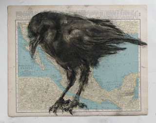 Field Notes: crow:mexico