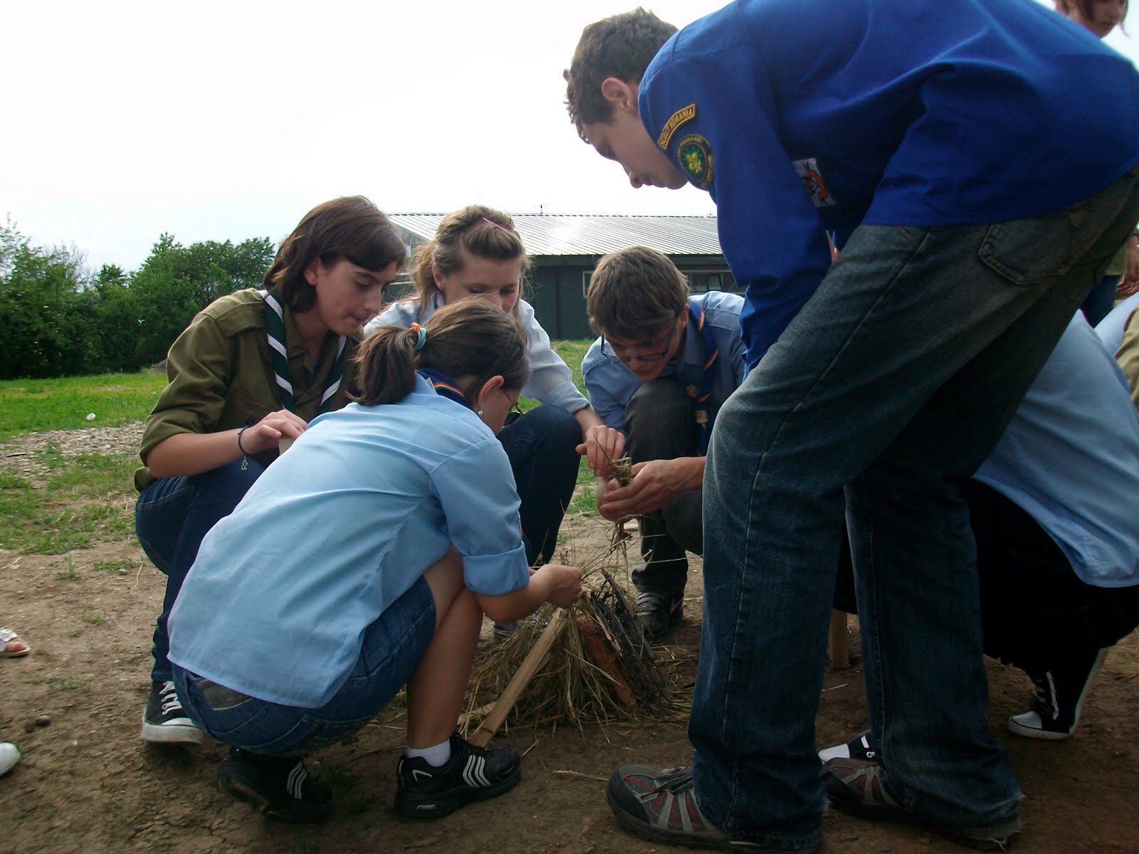 Lupii cercetaşi: ScoutIS