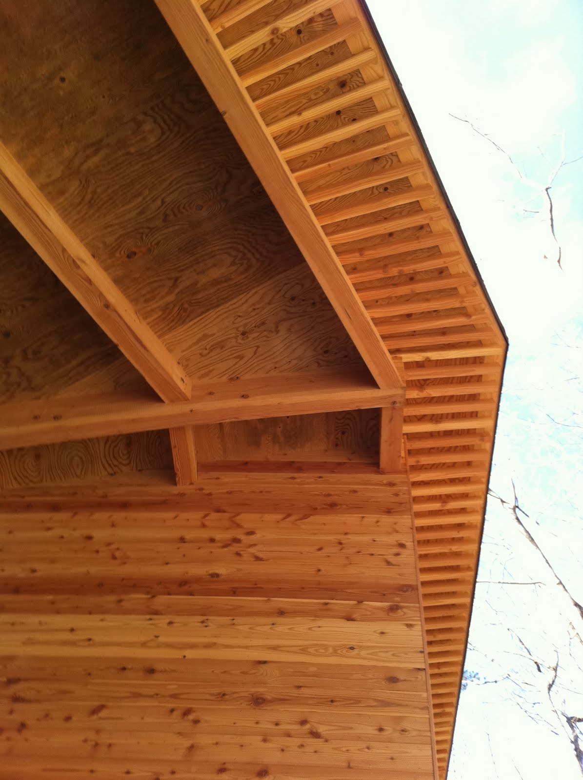 The Thing Is . . .: Taruki Rafters