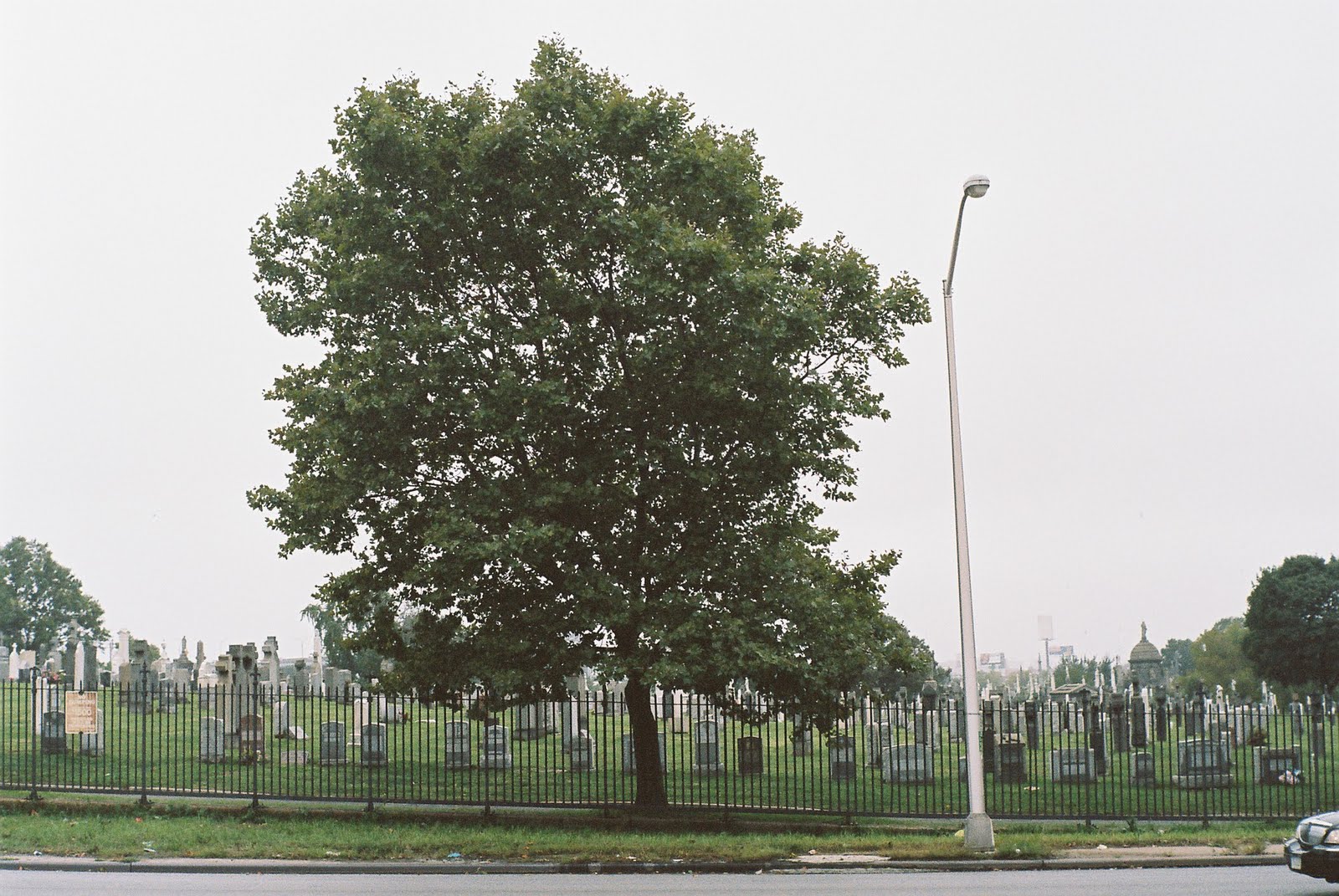 IN RESIDENCE @ APEXART WITH ROY SAMAHA