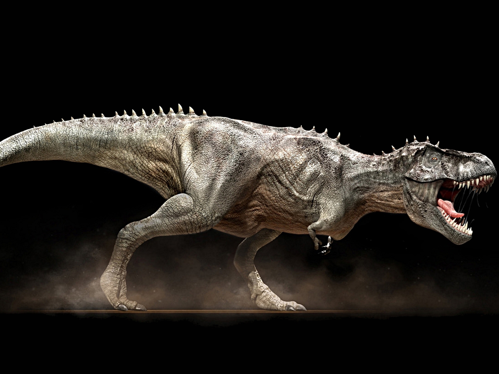 High Definition Photo And Wallpapers Dinosaur Wallpapers dinosaur high-definition-photo-and-wallpapers-dinosaur-wallpapers-dinosaur