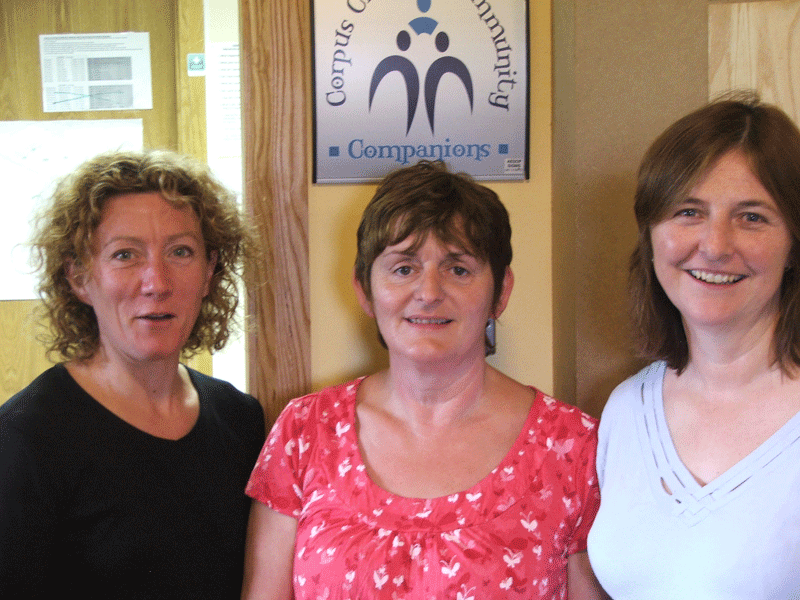 Moyross Online - Blog for Moyross.ie: Origins of Community Companions