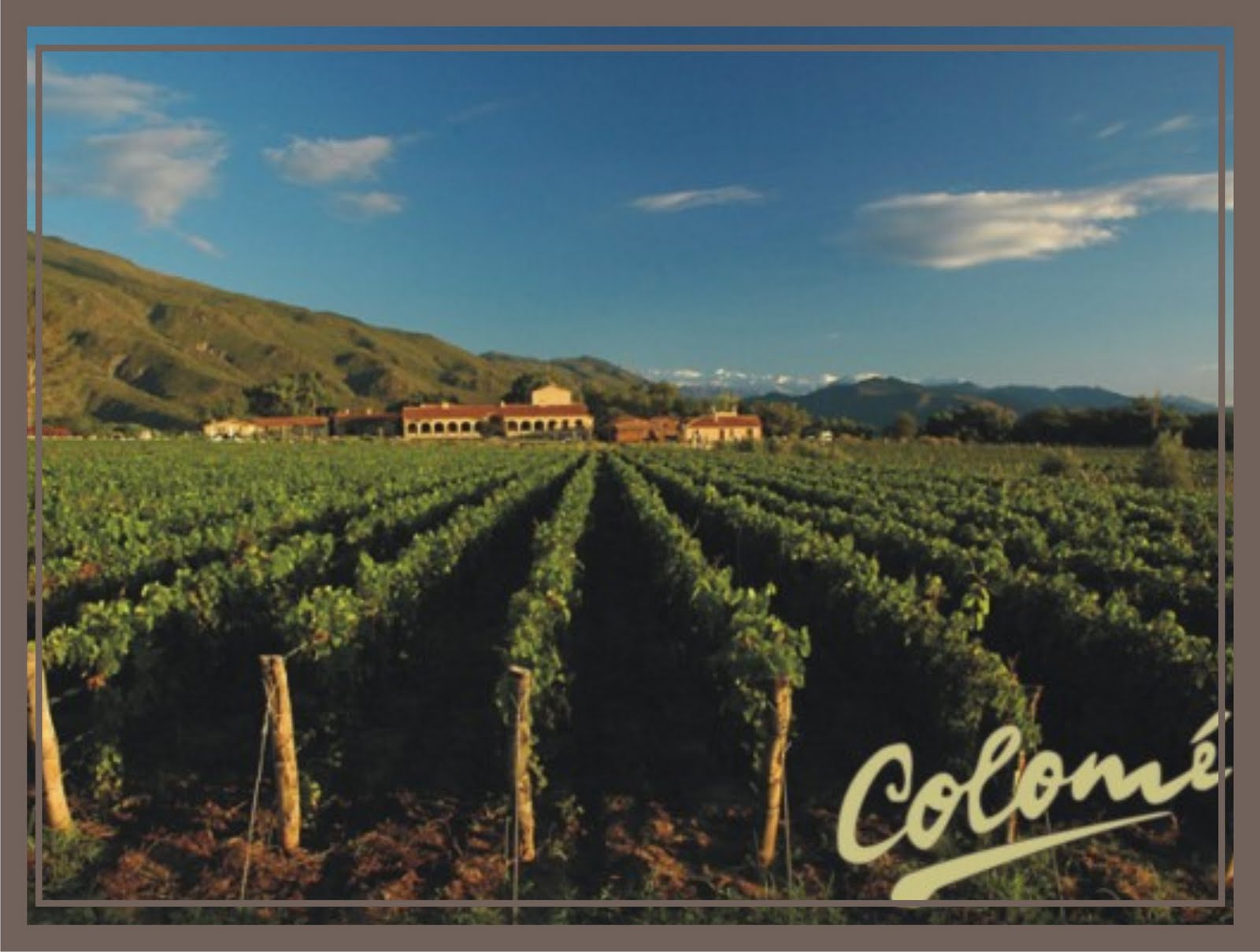 ::Canal do Sommelier Decanter::: Colomé por Matt Kramer