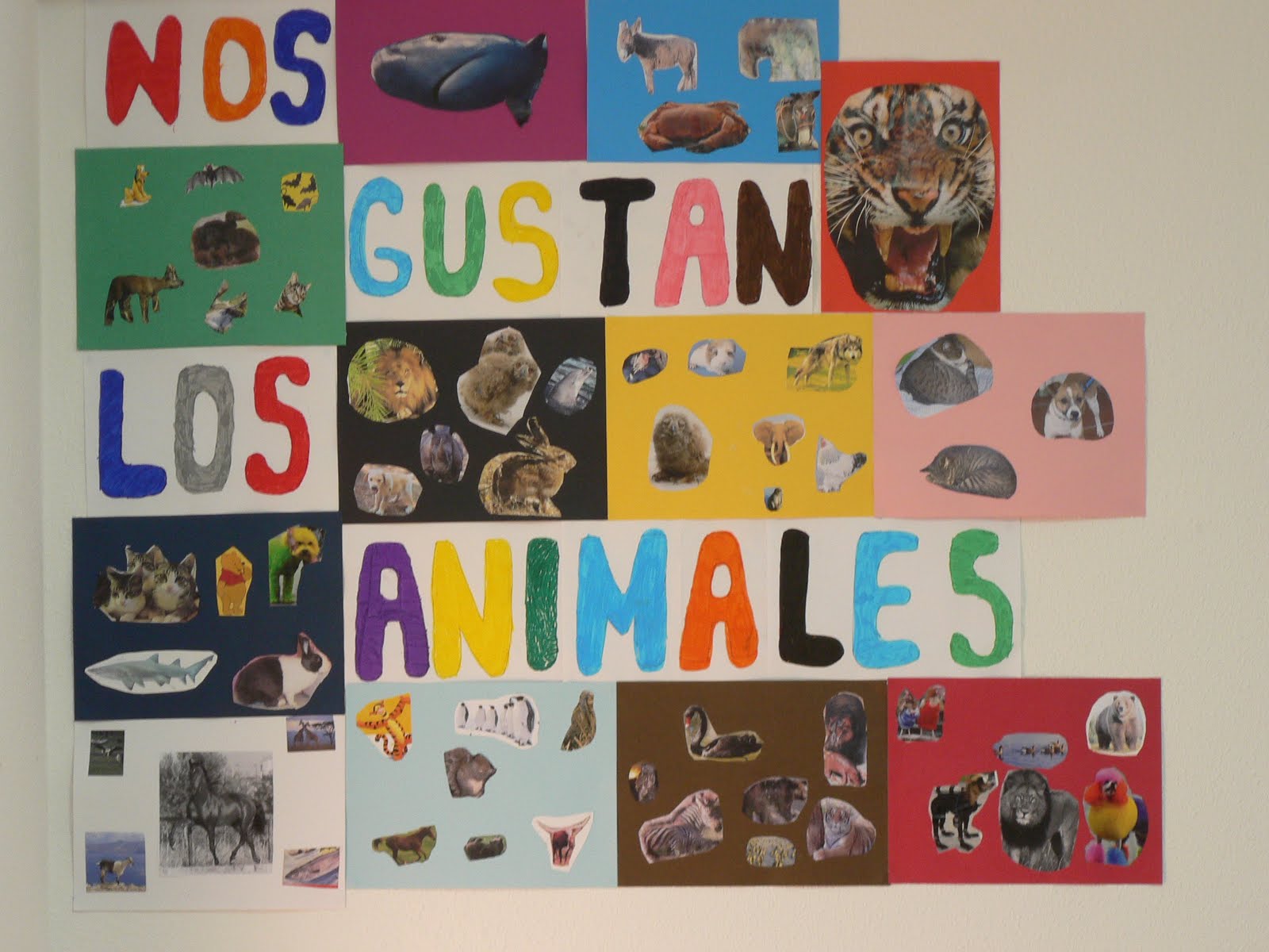 la clase del ratoncito Bruno: ¡ Nos gustan los animales!