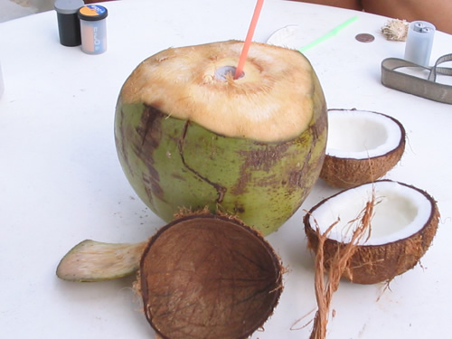 Delightful Departures: FUN FIJI FACTS 13