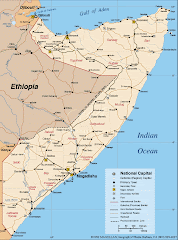 Somali Nurses Association of North America