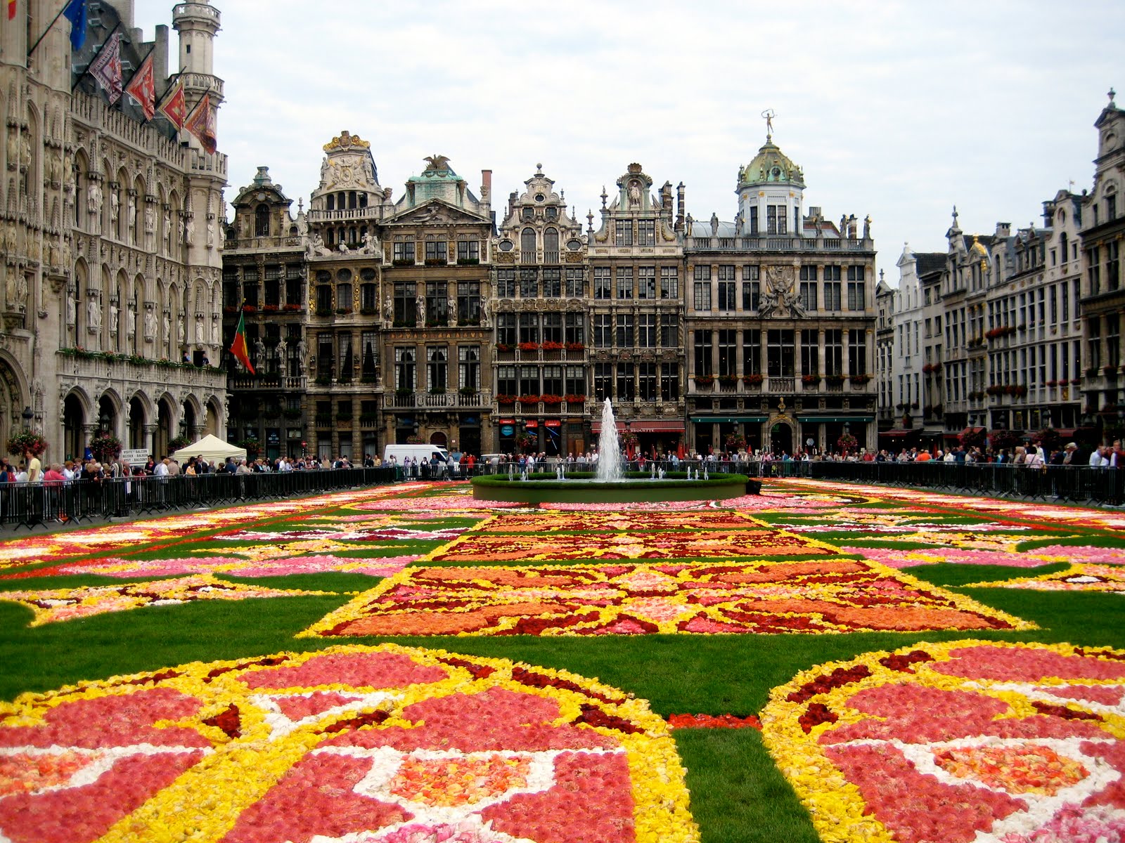 An American in Belgium: Flower Carpet