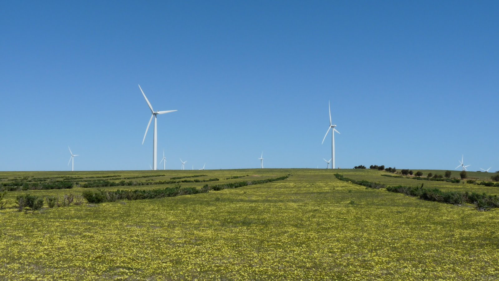 Garry and Rani Appleby: Emu Downs Wind Farm, near Cervantes, WA