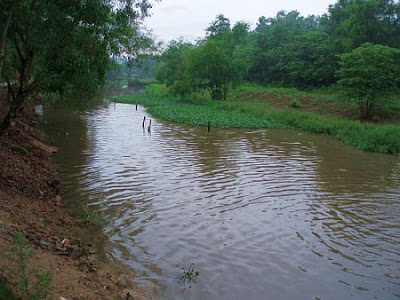 RIVER Rangers, Pulau Pinang: Reviving Penang polluted rivers with EM ...