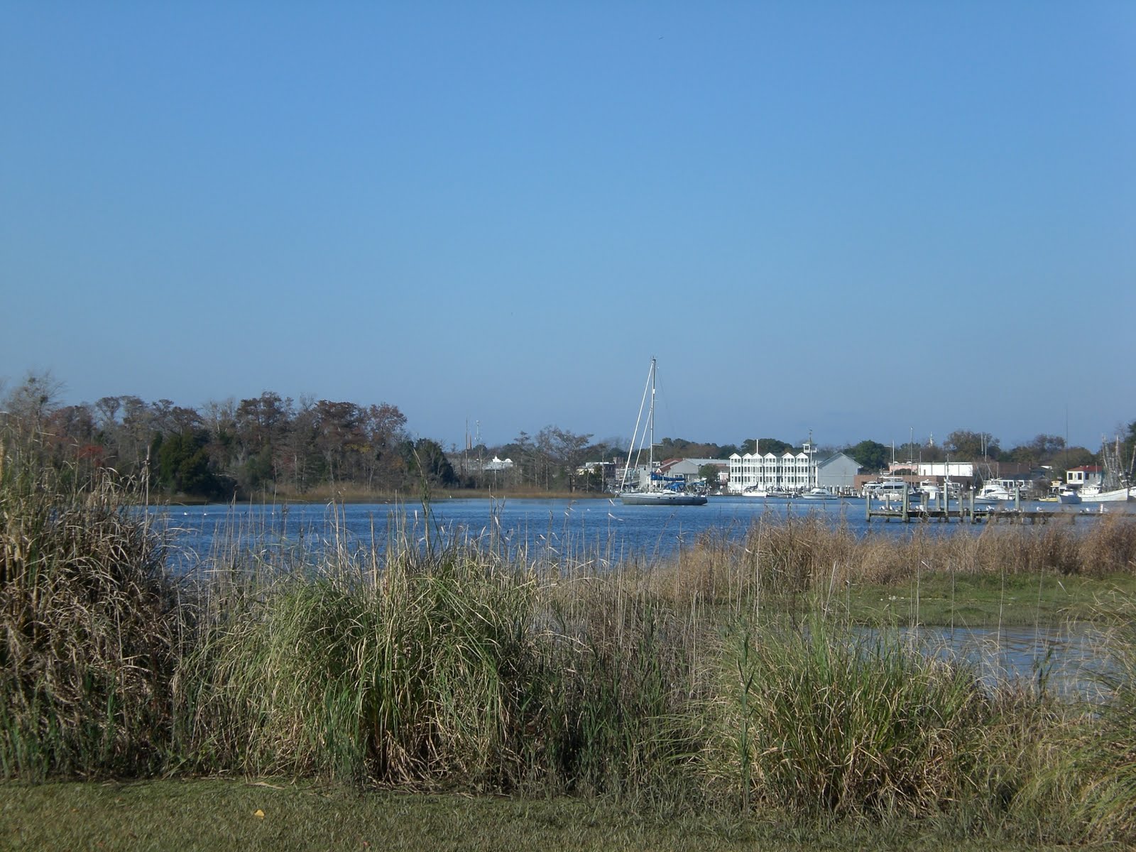 dutchlink: Georgetown South Carolina