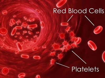 What are Platelets?